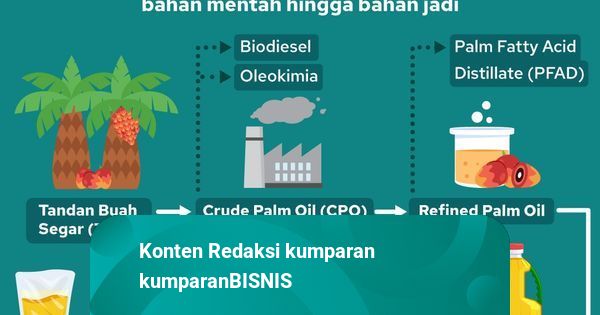 Infografik: Alur Proses Sawit Jadi Minyak Goreng | kumparan.com